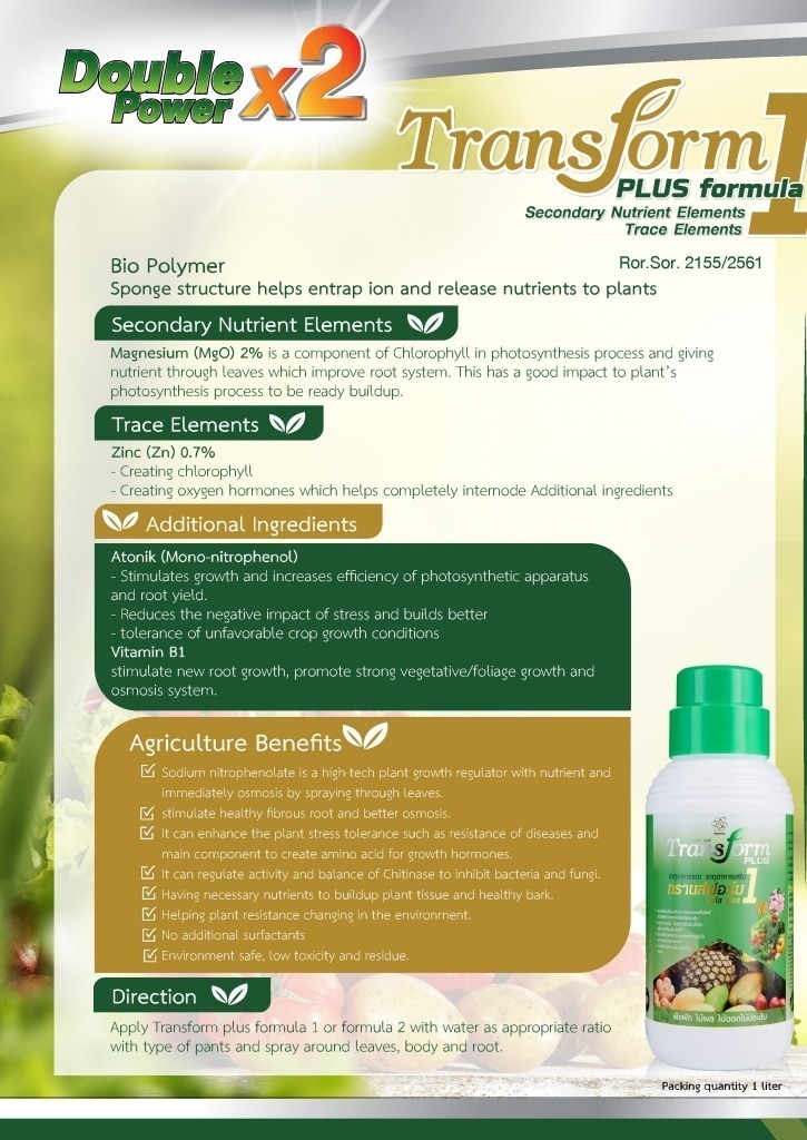 SUCCESSMORE - Transform Plus
