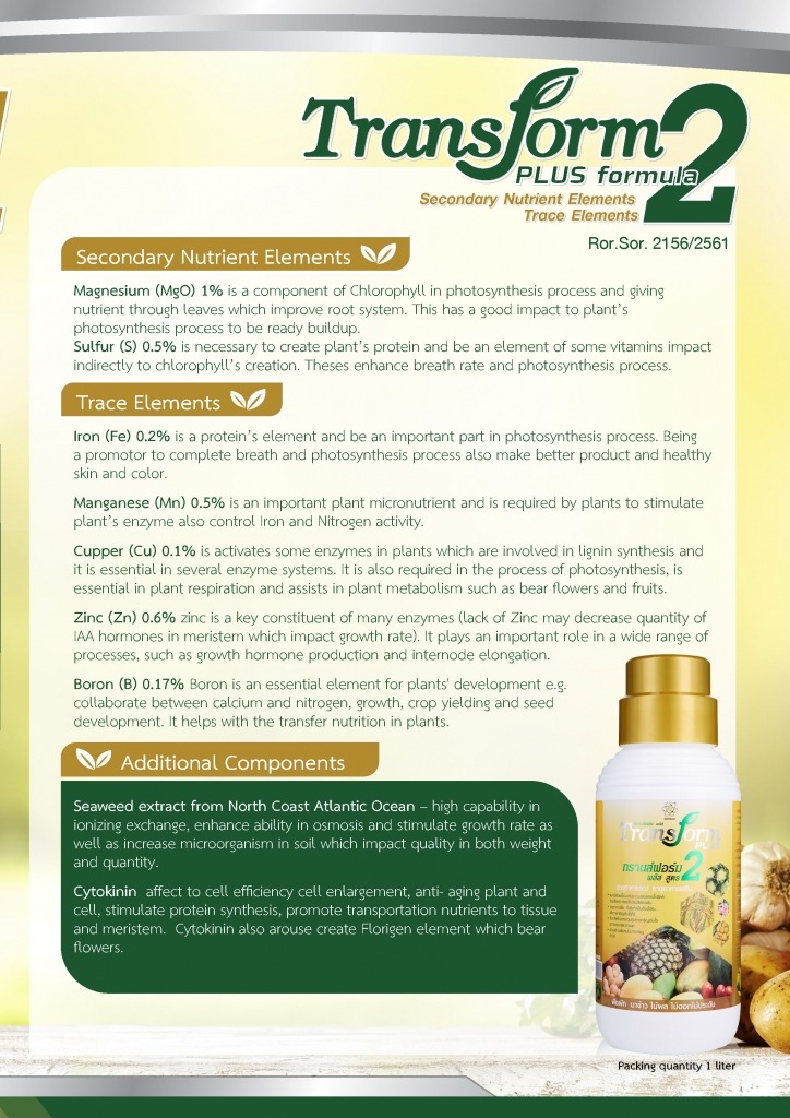 SUCCESSMORE - Transform Plus